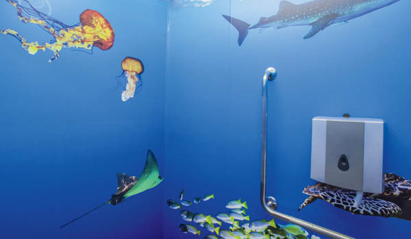 gull scuba theme - Convenience & Impulse Retailing