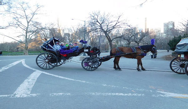 SPAR customer enjoys trip of a lifetime - Convenience & Impulse Retailing