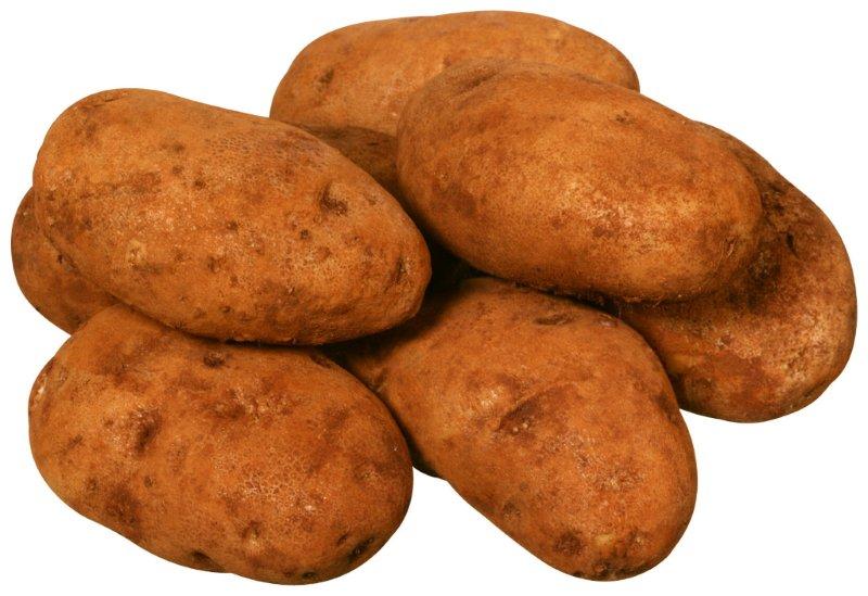 Russet Burbank Potato-3D - Convenience & Impulse Retailing