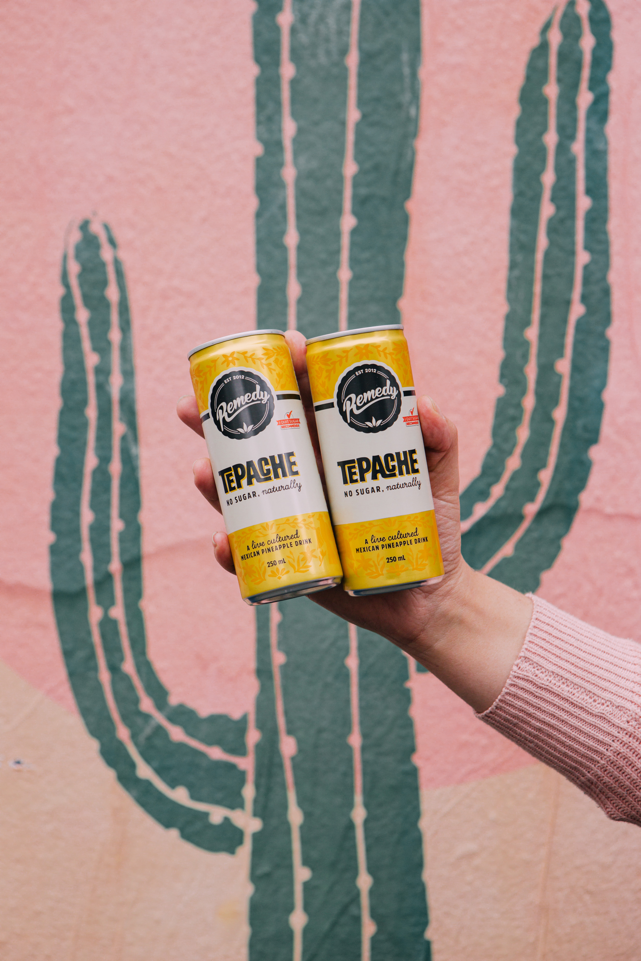 Remedy releases Mexican-style Tepache - Convenience & Impulse Retailing