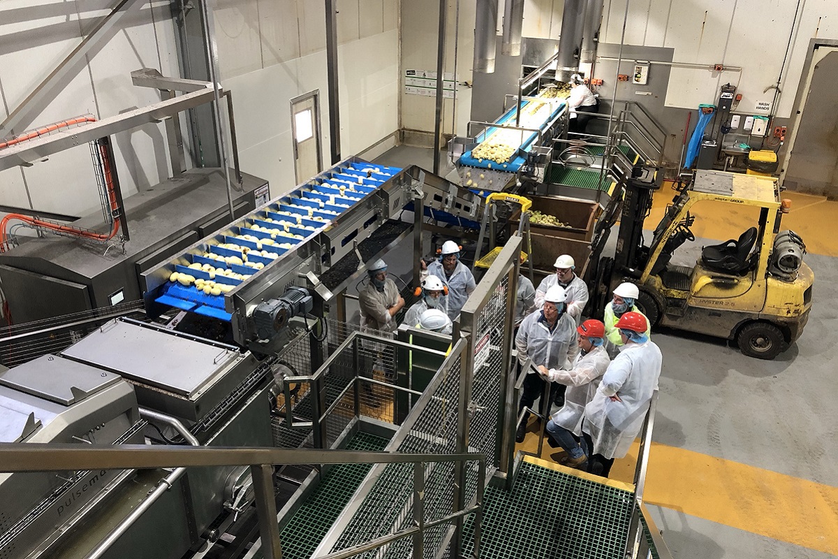 McCain Foods upgrades Smithton Plant with world-leading technology ...